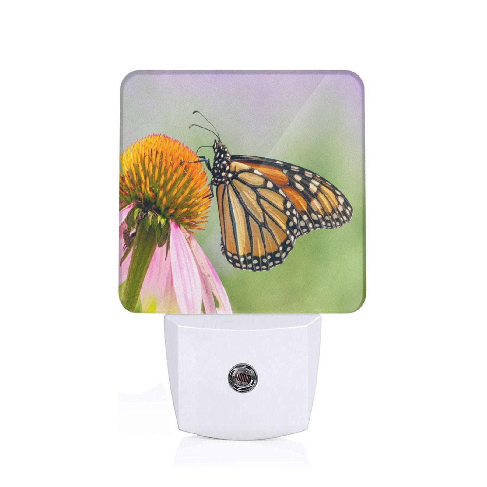 Yiaed A monarch butterfly Print Plug in Dimmable Led Night Light with ...