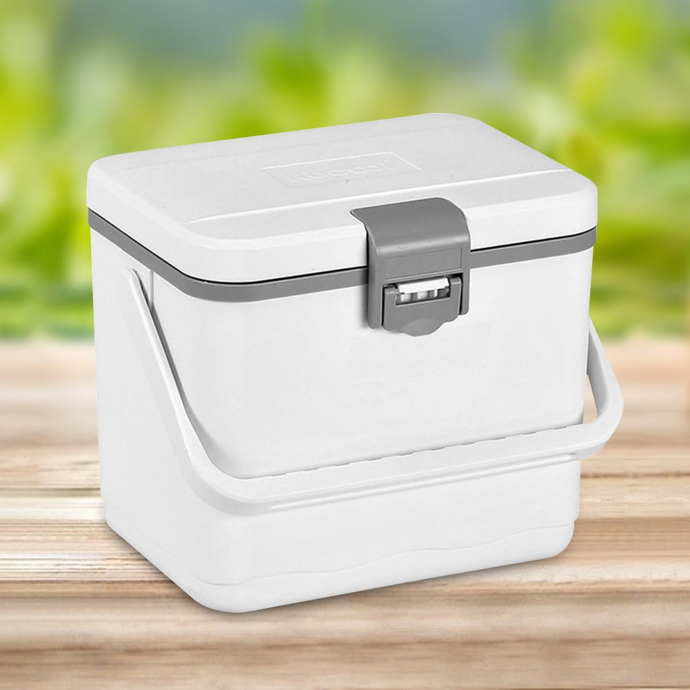 Yiaieng Camping Car Refrigerator, 4.5L Insulated Portable Cooler with ...