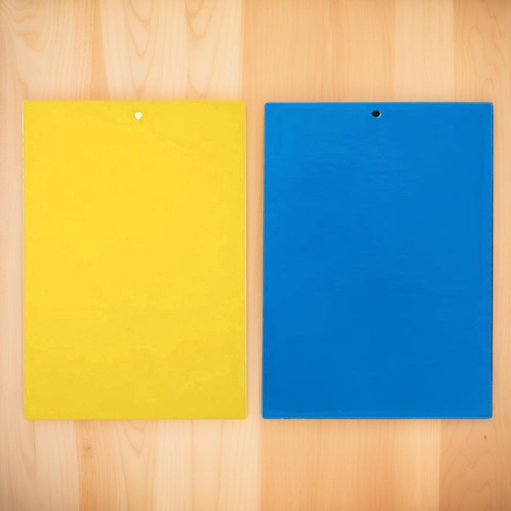 Yiaieng Dual-Sided Sticky Traps, 100 Pack Double Sided Sticky Trap for ...