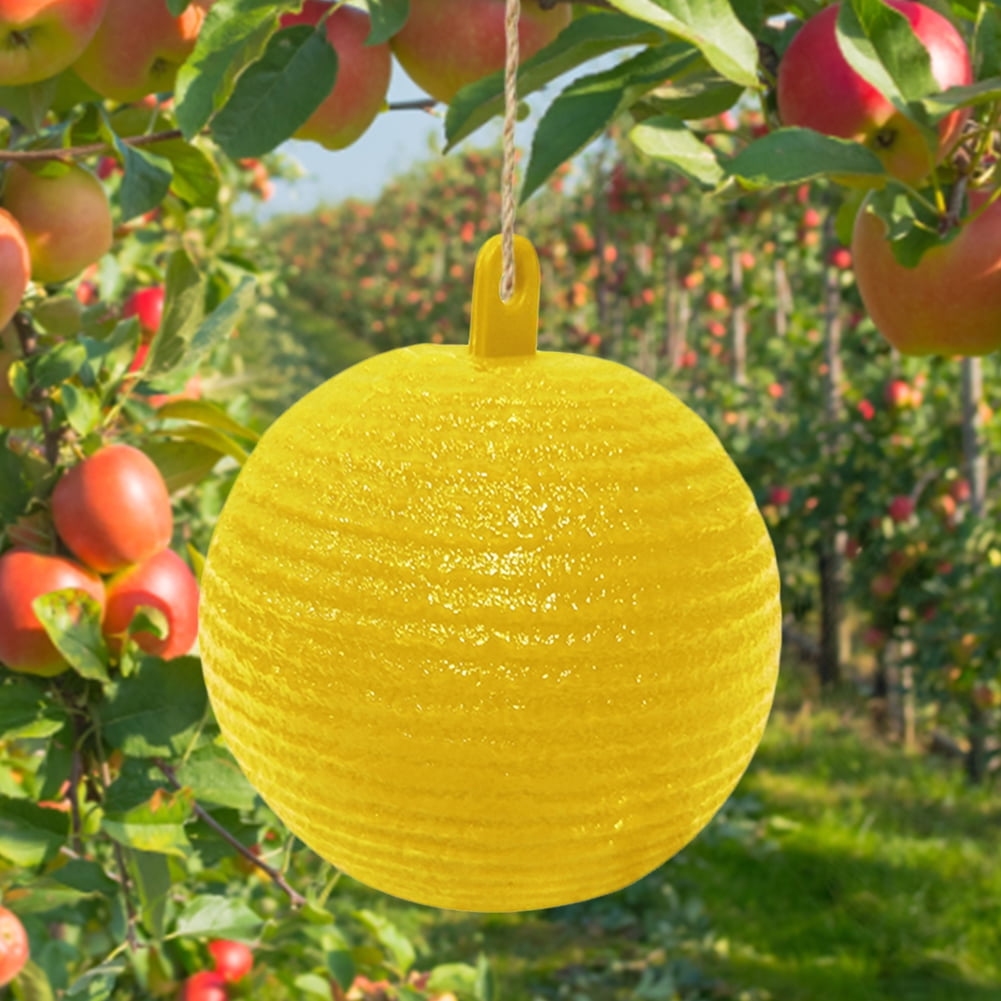 Yiaieng Hanging Fly Trap, Ball Fruit Fly Catcher 8cm Sticky Trap for ...