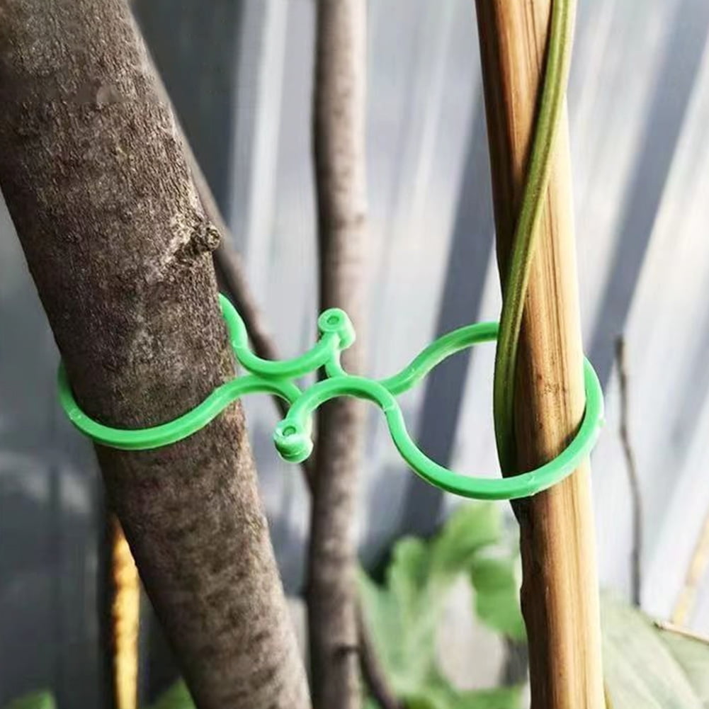 Yiaieng Secured Plant Clip, 200Pcs Plant Support Clips Reusable Vine ...