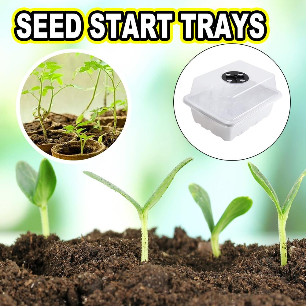 Yiaieng Seed Starting Tray, 12 Holes Seed Starter Tray with Humidity ...