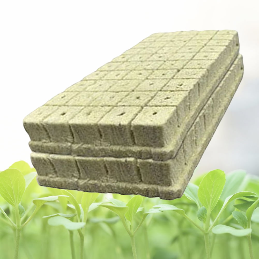 Yiaieng Wool Seed Starters Cloning Cubes, 100pcs Starter Plugs ...