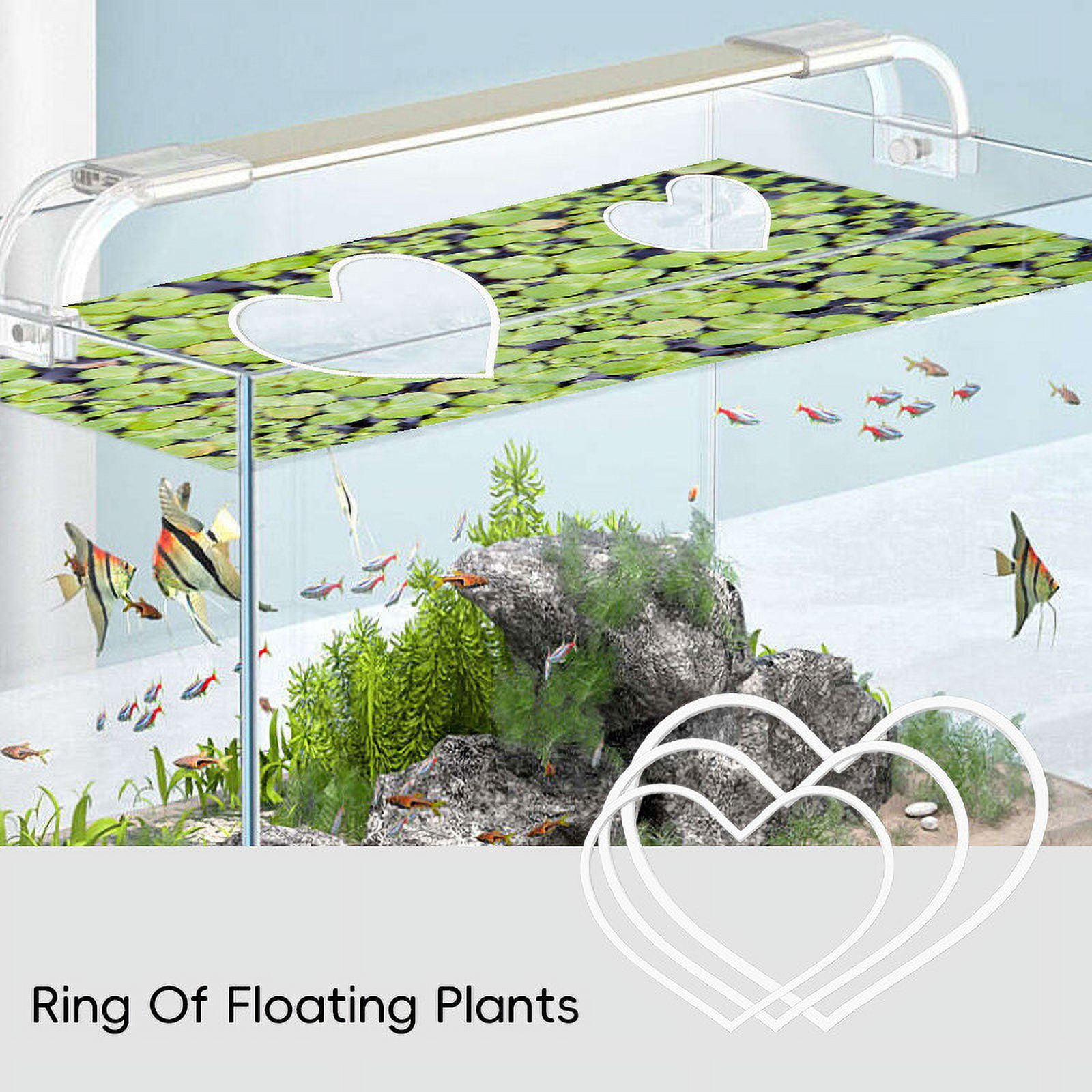 Yialzm Heart Shaped Floating Plant Rings 5 Piece Set for Pond ...