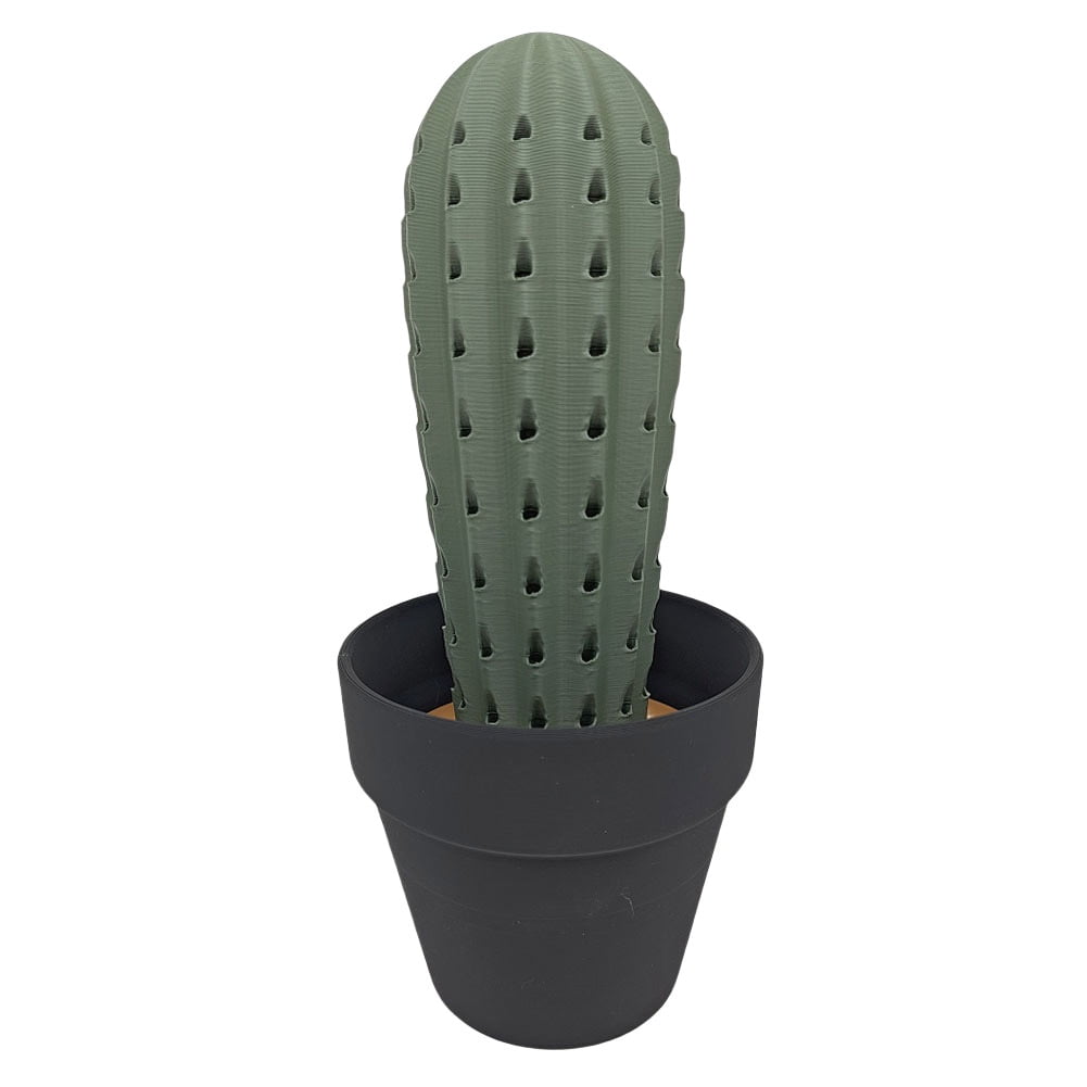 Yibooy 3D Printed Cactus Toothpick Holder Fake House Plant for Home ...