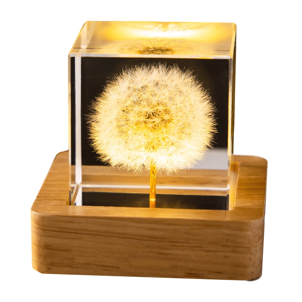 Yibooy Flower Crystal Ball Night Light Cute Flower Desk Lamp (Square ...