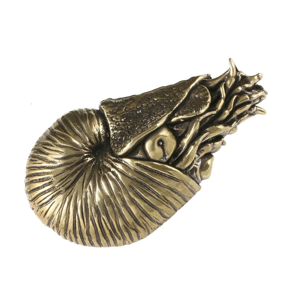 Yihuala Metal Animal Figurines Naurilus Statues Shelf Decors Accent ...