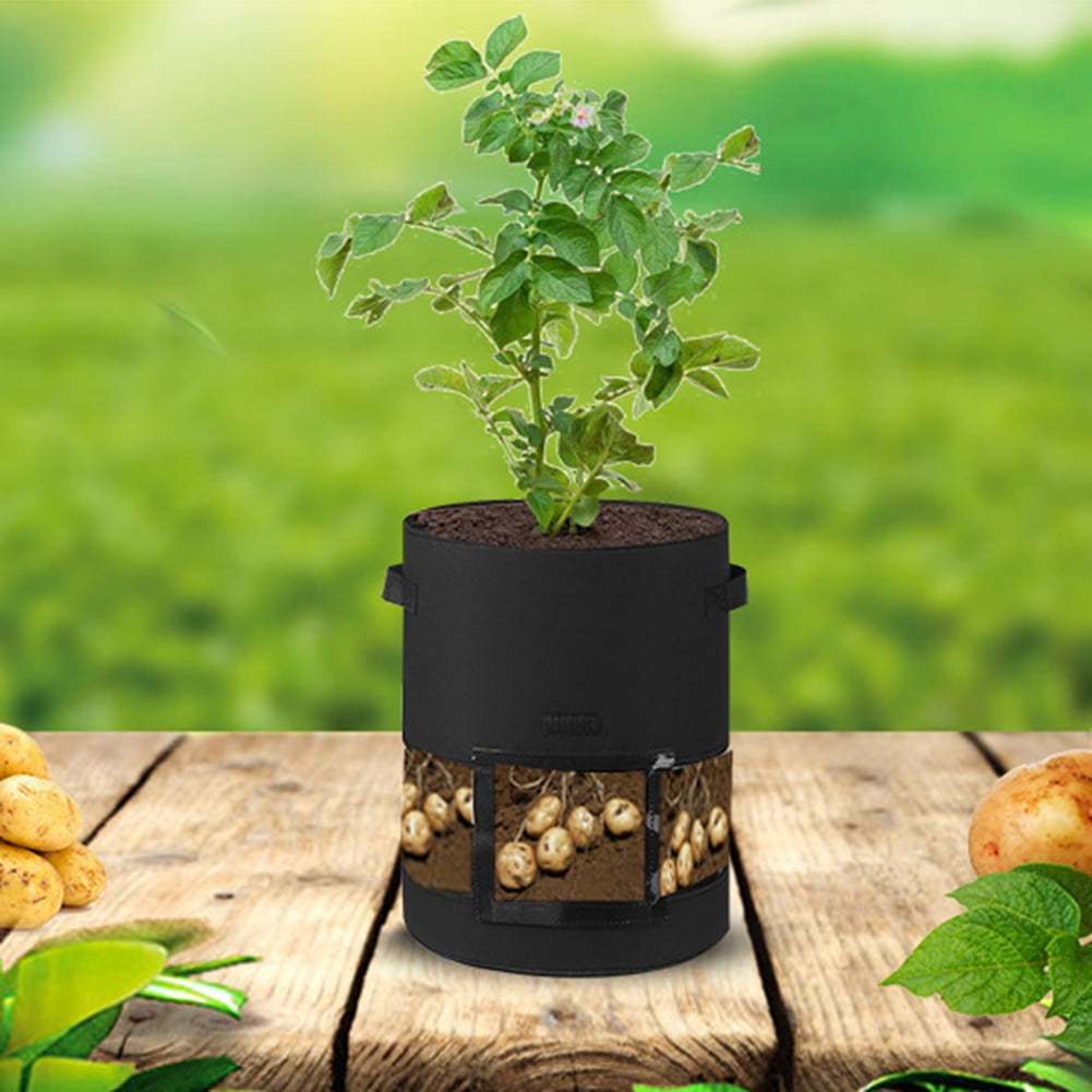 Yinreli 7/10 Gallon Plant Growing Bag Aeration Waterproof Potato ...
