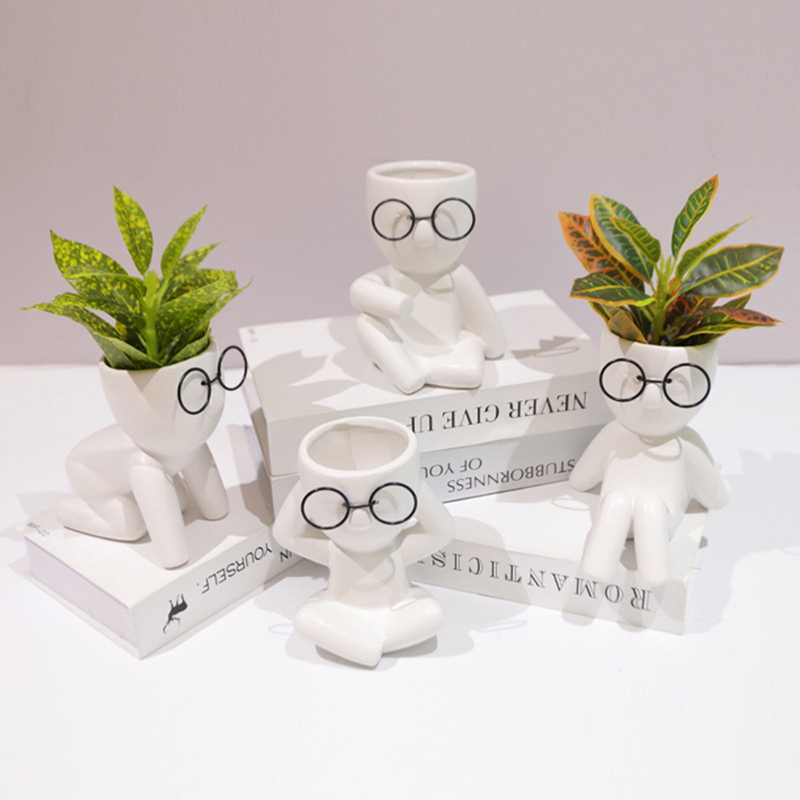 Yinreli Succulent Pot Eye-catching Creative Shape Ceramic Plant Pot ...