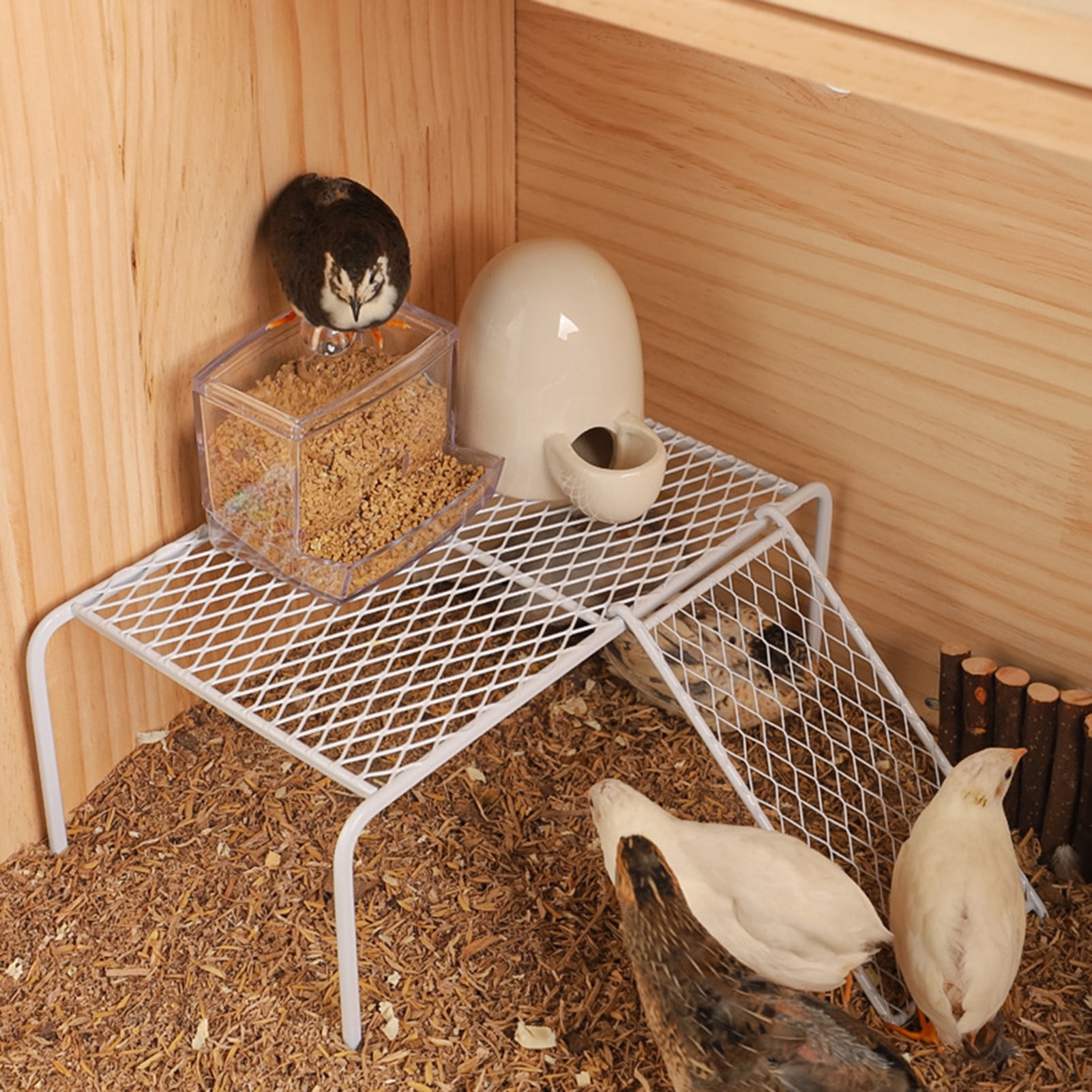 Yirtree 1 Set Rutin Chicken Landscaping Platforms Stainless Steel Grid ...