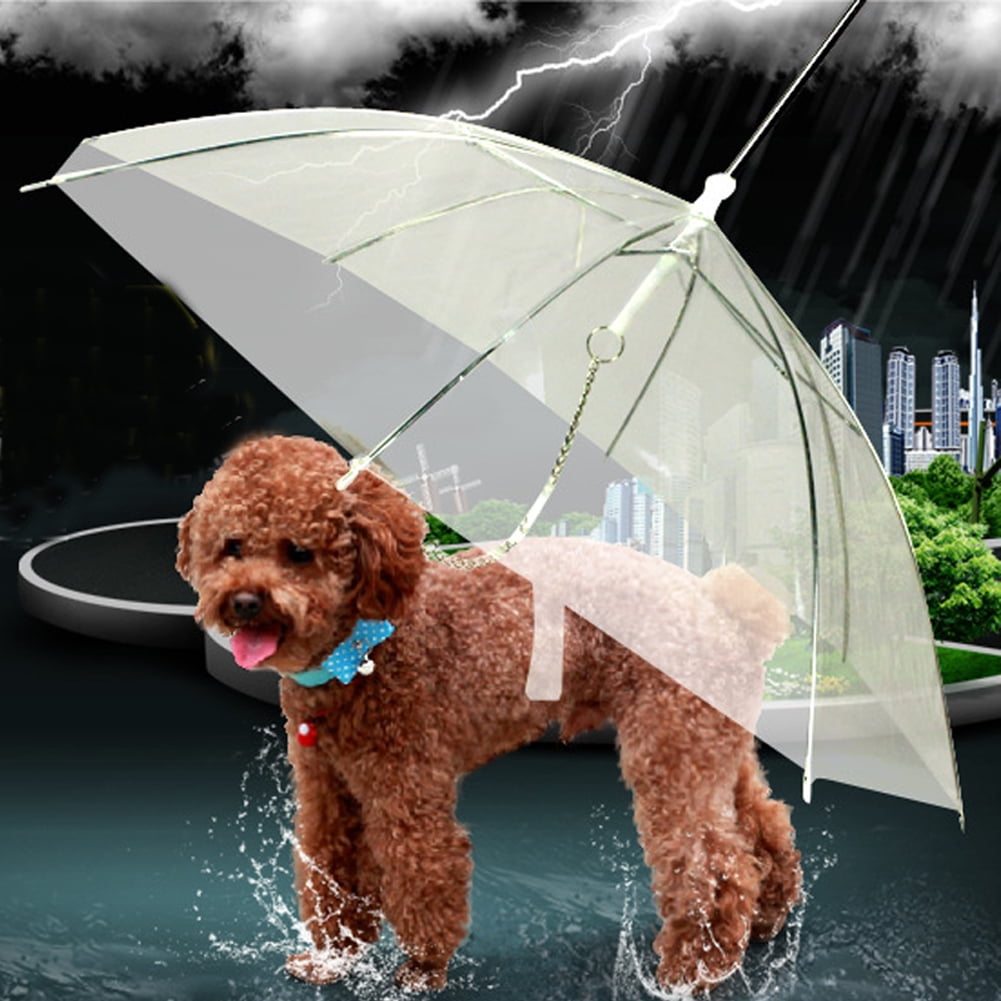 Yirtree Pet Umbrella Leash Rainproof Snowproof Walking Dog Leash ...