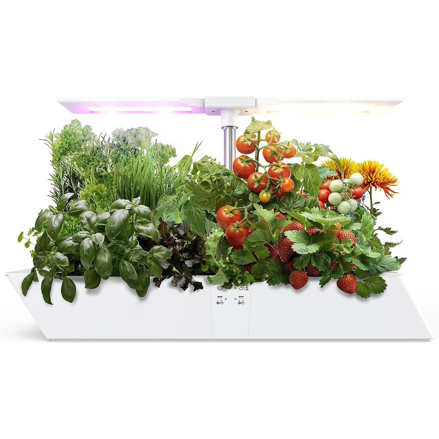 Yiwa 12 Pods Indoor Herb Garden with Grow Light, Hydroponics Growing ...