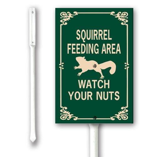 Yjiankangz 4.6x6 In Squirrel Feeding Area Watch Your Nuts Yard Sign ...