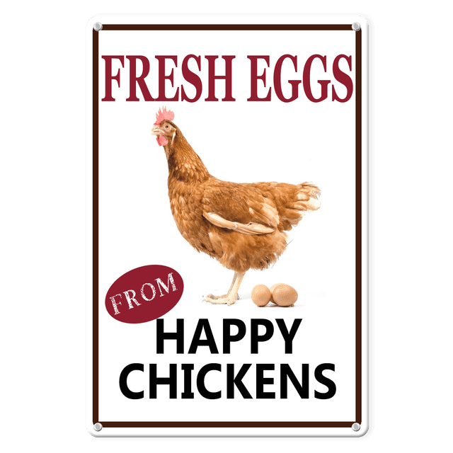 Ymaotrade Fresh Eggs From Happy Chickens Aluminium Sign 8×12in, Sturdy ...
