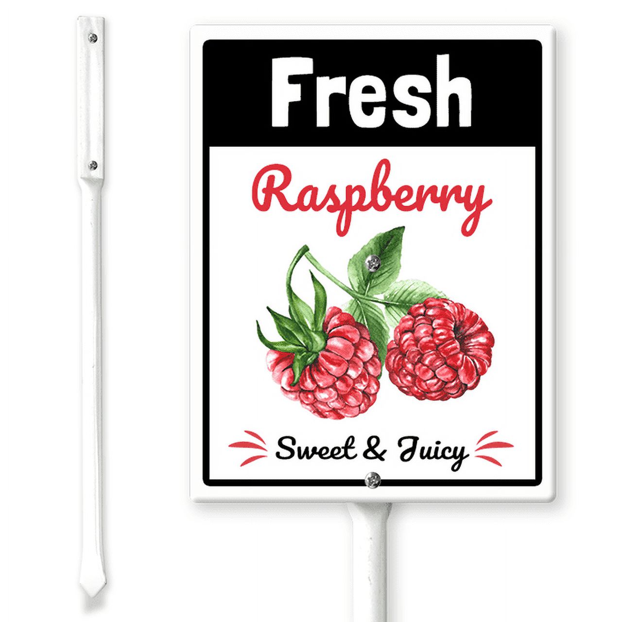 Ymaotrade Fresh Raspberry Yard Sign with Stakes 4.6×6in, Sturdy ...