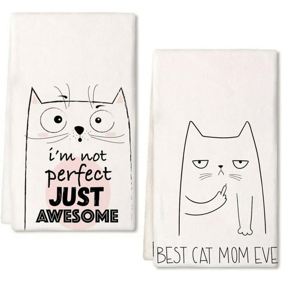 Ymaotrade Funny Cat Kitchen Towels Dish Towels Set of 2, I'm Not ...