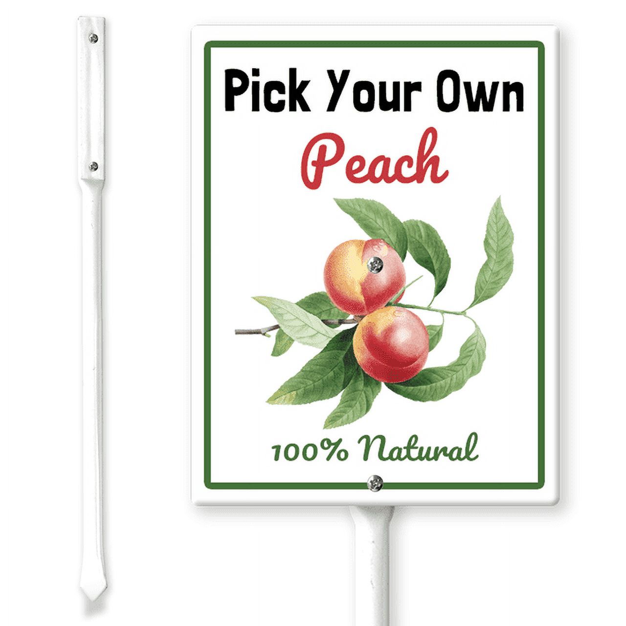 Ymaotrade Pick Your Own Peach Yard Sign with Stakes 8×12in, Sturdy ...