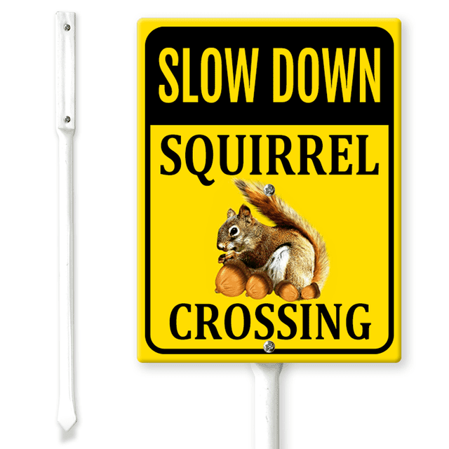 Ymaotrade Slow Down Sign, Squirrel Crossing Yard Sign with Stakes 8× ...
