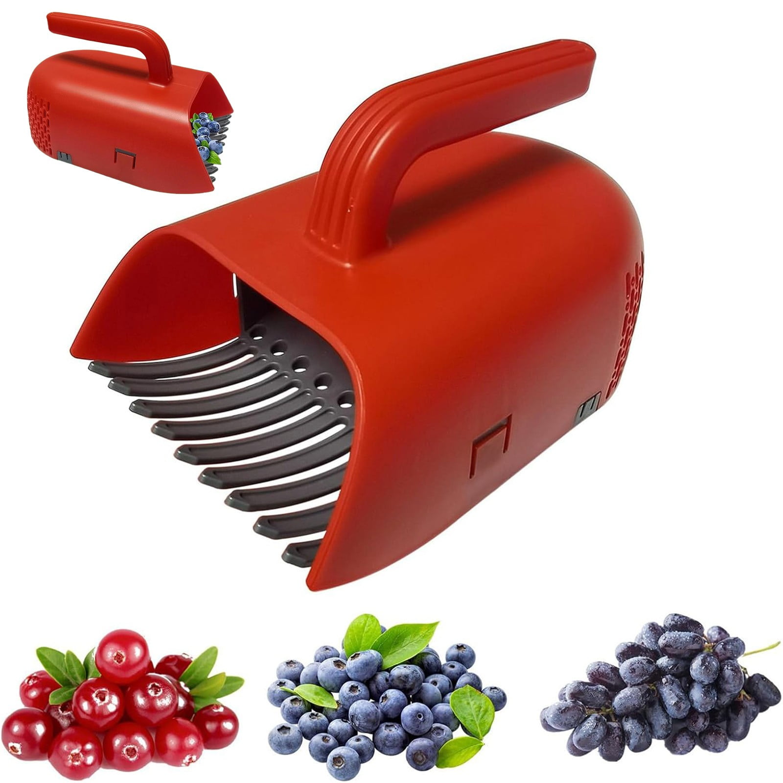 Ymkly Garden Decor,Berry Blueberry Tool Blueberry Rake With Comb And ...