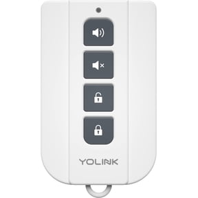 Wireless Alarm Systems & Remote Controls for Secure Home Protection