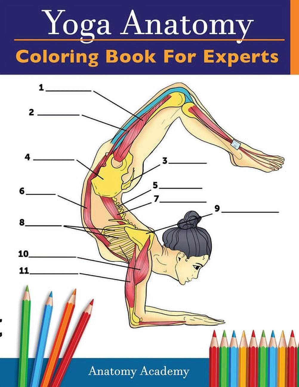 Yoga Anatomy Coloring Book For Experts 50 Incredibly Detailed Self