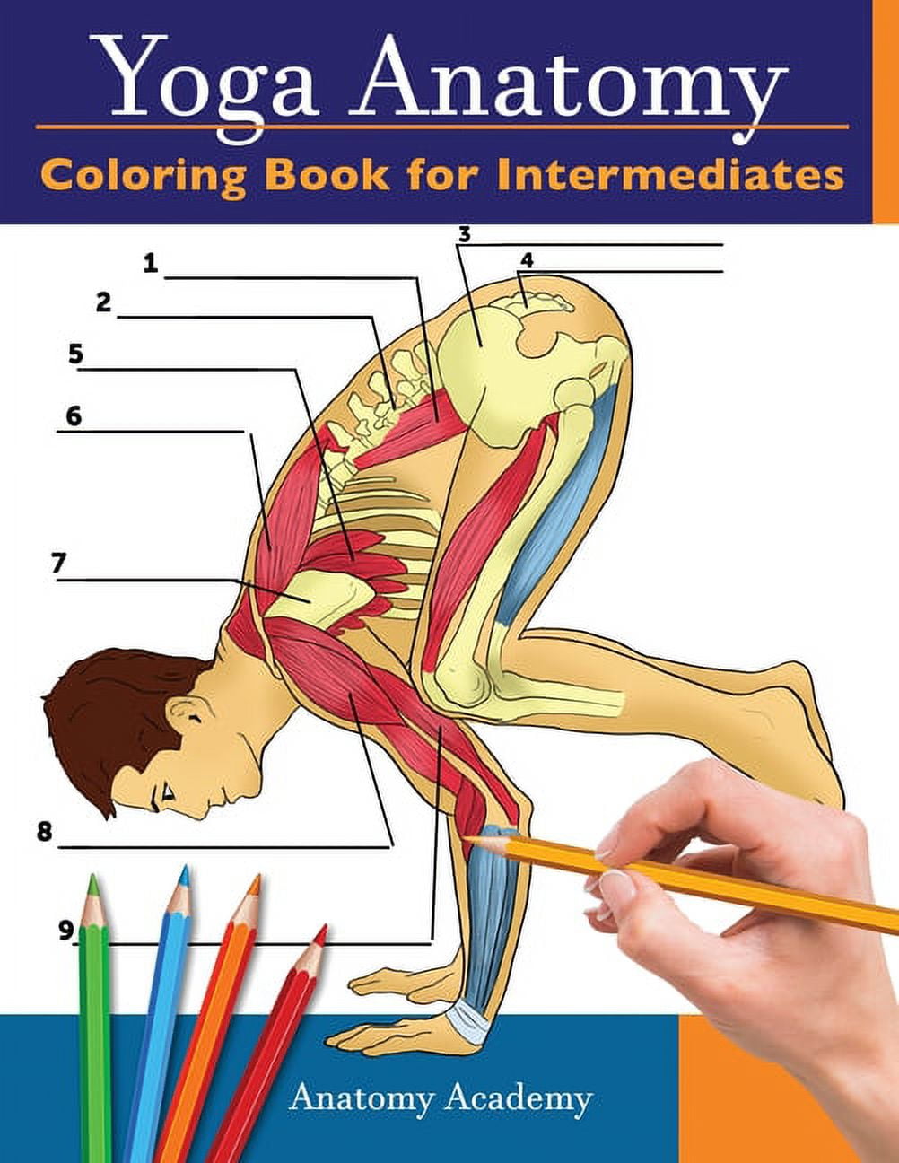 Yoga Anatomy Coloring Book For Intermediates 50 Incredibly Detailed