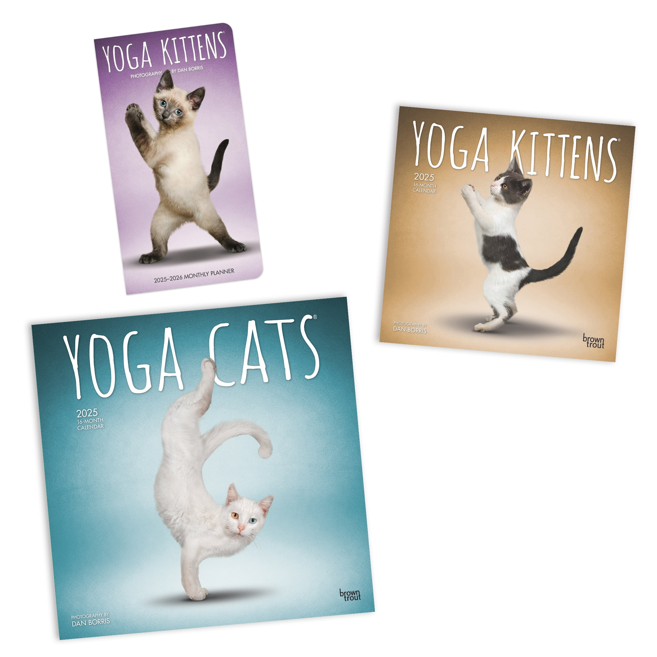 Planners in Calendars and Planners - Walmart.com