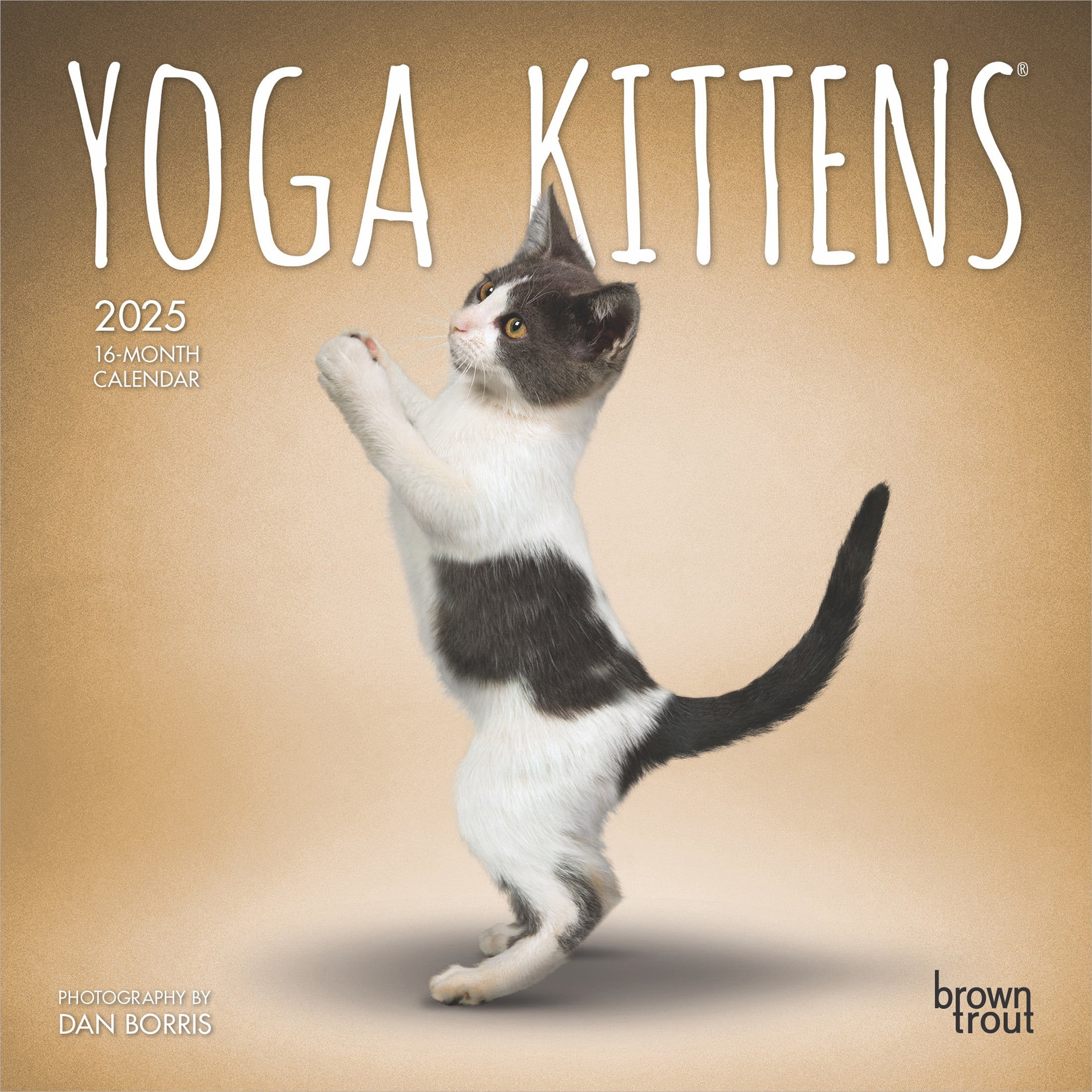 Yoga Kittens OFFICIAL | 2025 7x14" (Hanging) Mini Wall Calendar ...
