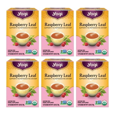Witchy Pooh's Tea Bags for Loose Leaf Tea, 12 Pack, Large, Disposable ...