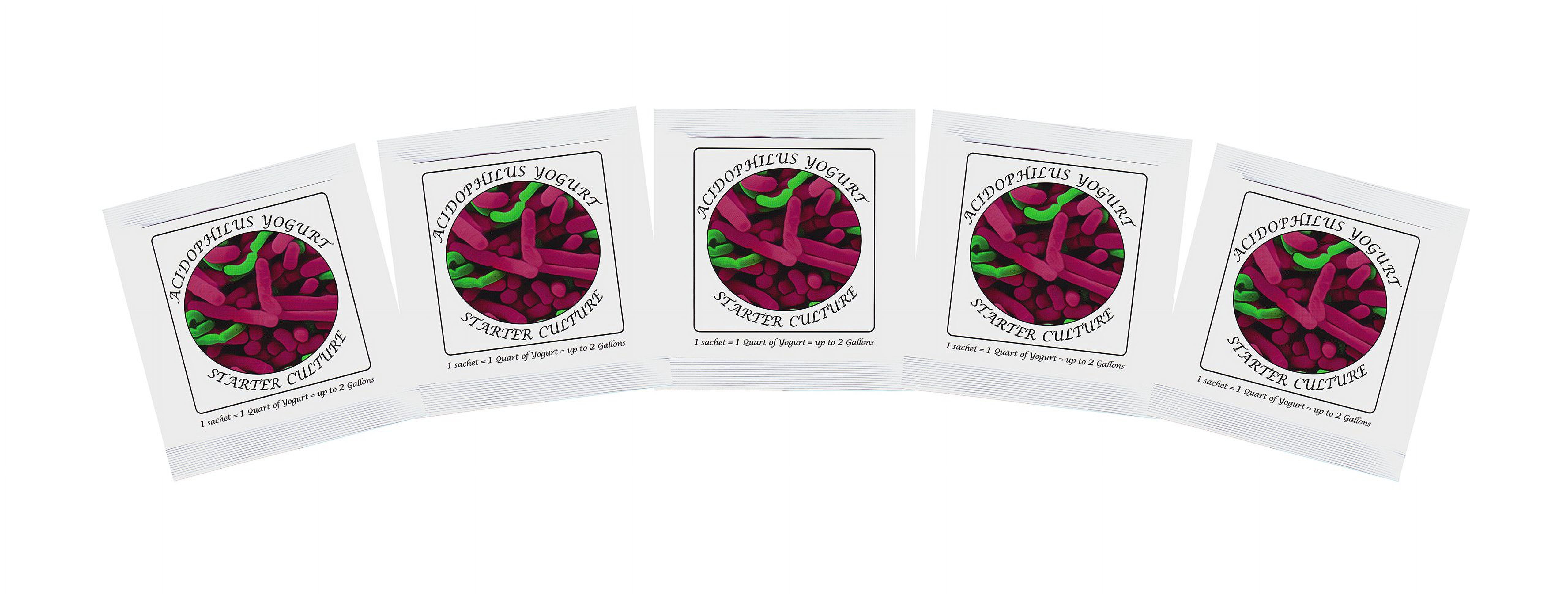 Yogurt Starter Cultures - Pack of AIS1 5 Freeze-dried Culture Sachets ...