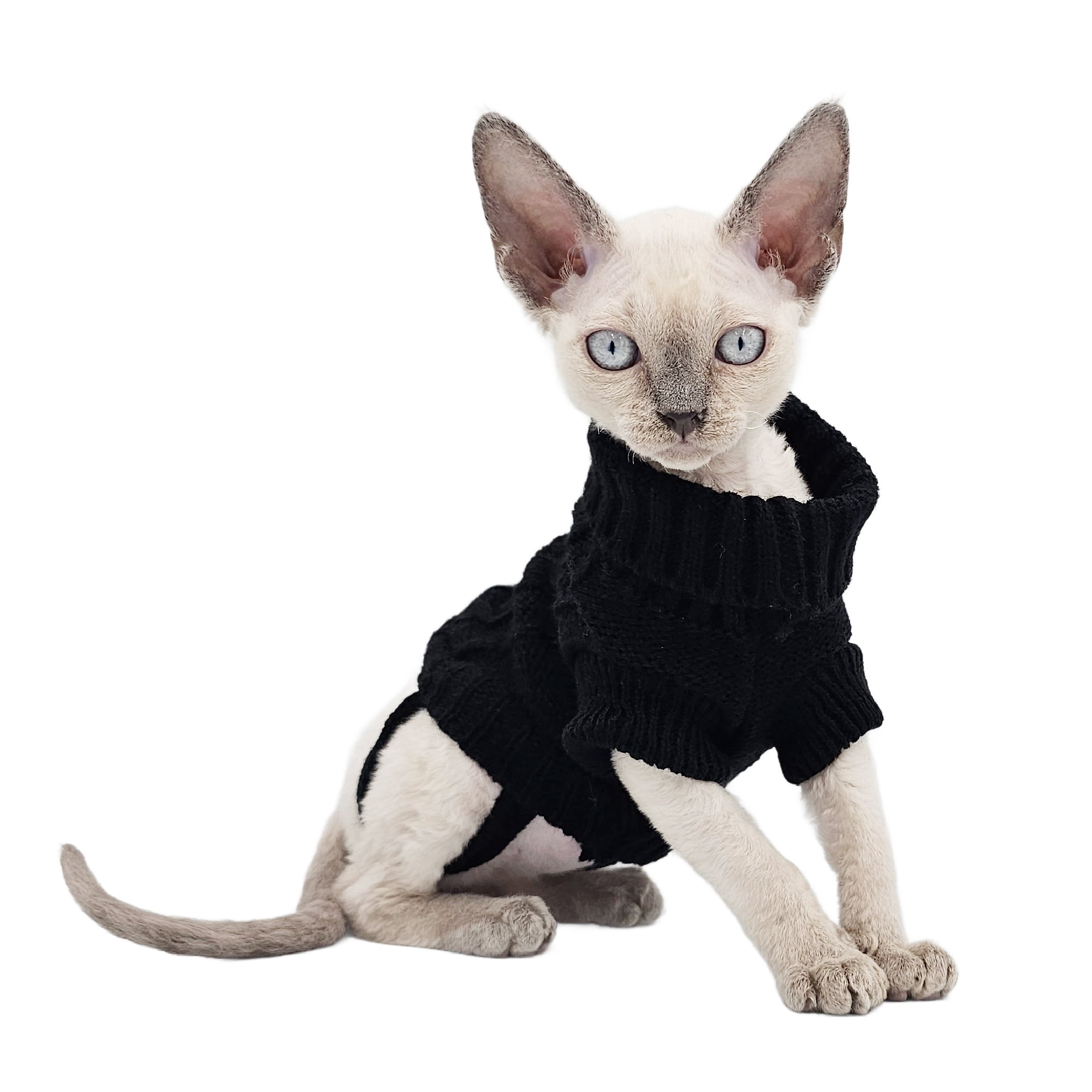 YokoKat Black Turtleneck Kitten Cat Sweater Size XXS - Walmart.com