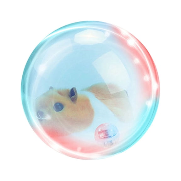 Cat Sized Hamster Ball