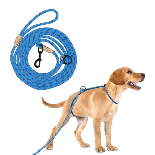 PetSafe Easy Walk No-Pull Leash Training Dog Harness, Medium, Raspberry ...