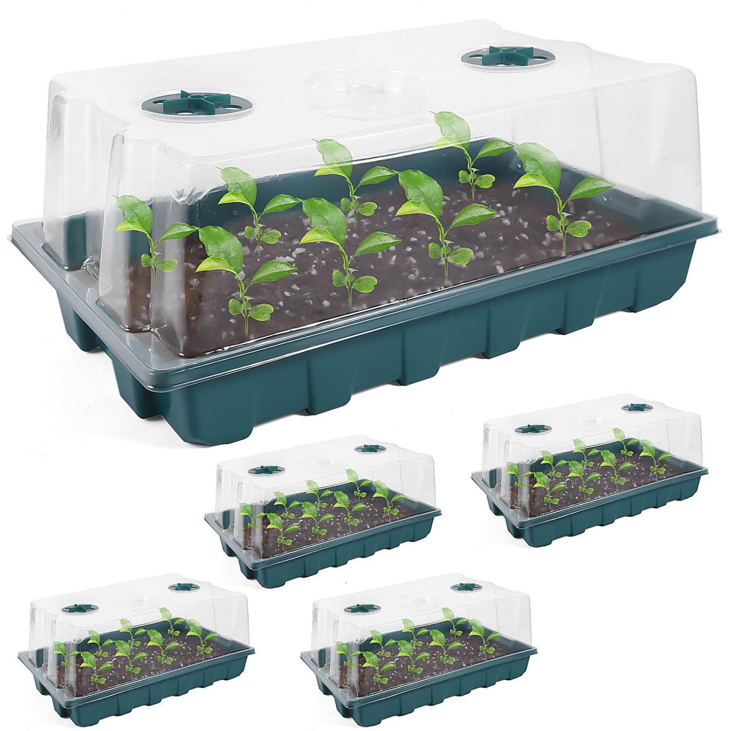 YoleShy 5 Set TWE5 of Plastic Plant Growing Trays, Duty Seed Starter ...