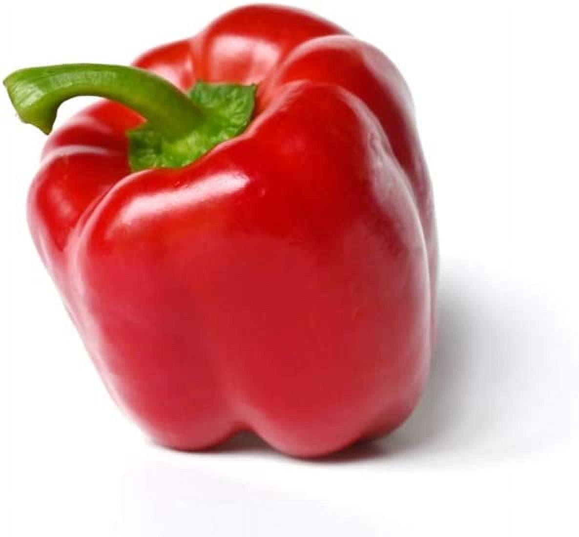 Yolo Wonder L Red Sweet Bell Pepper Seeds for Planting, 100+ Heirloom ...