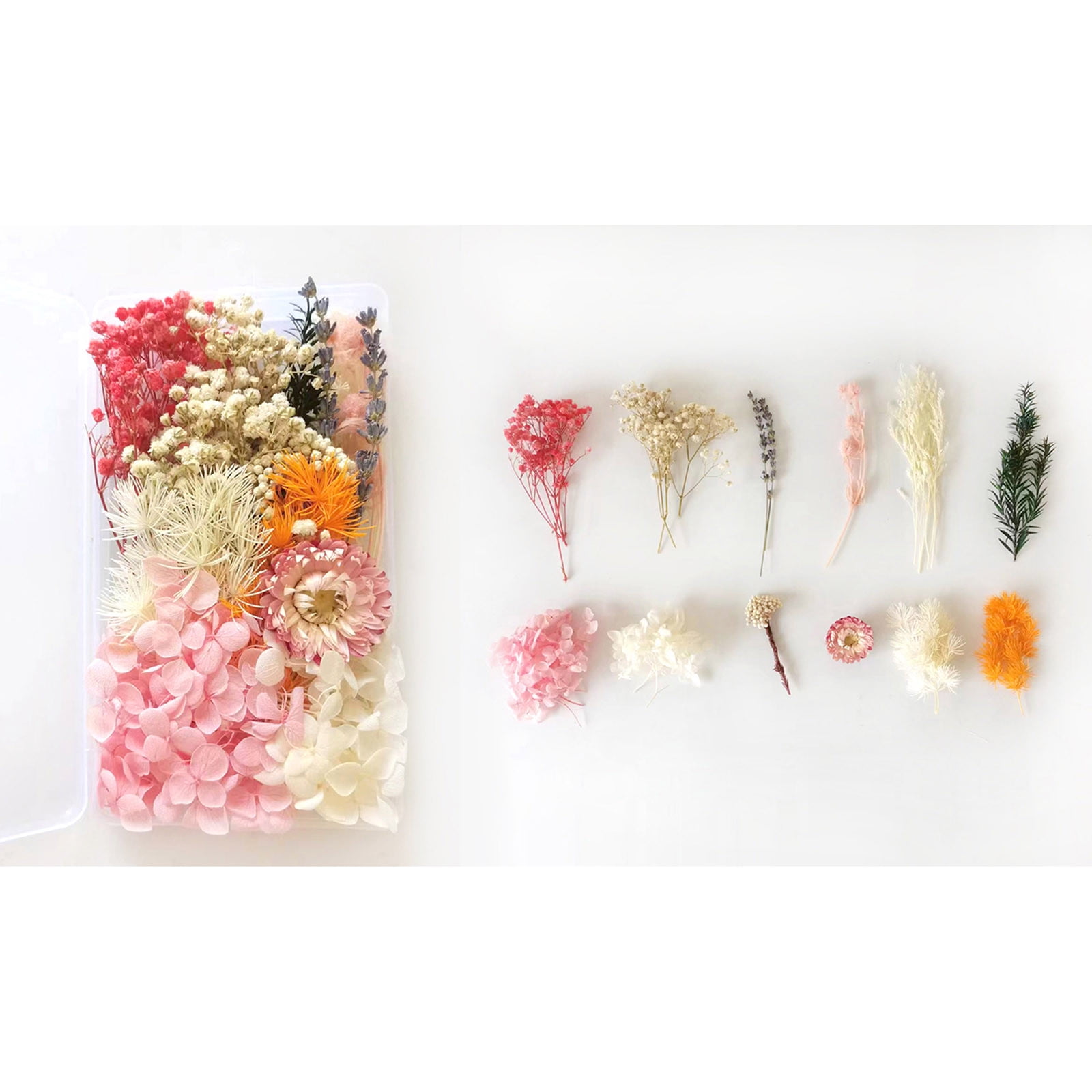 Yoloke DIY Dried Flowers Craft Kit - Natural Assorted Dried Florals for ...