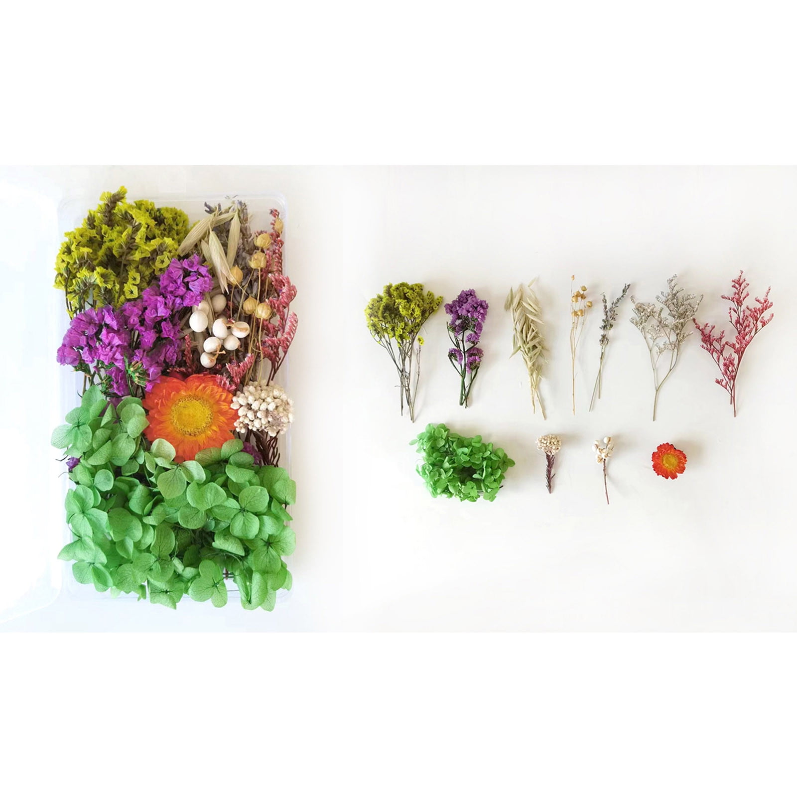 Yoloke DIY Dried Flowers Craft Kit - Natural Assorted Dried Florals for ...