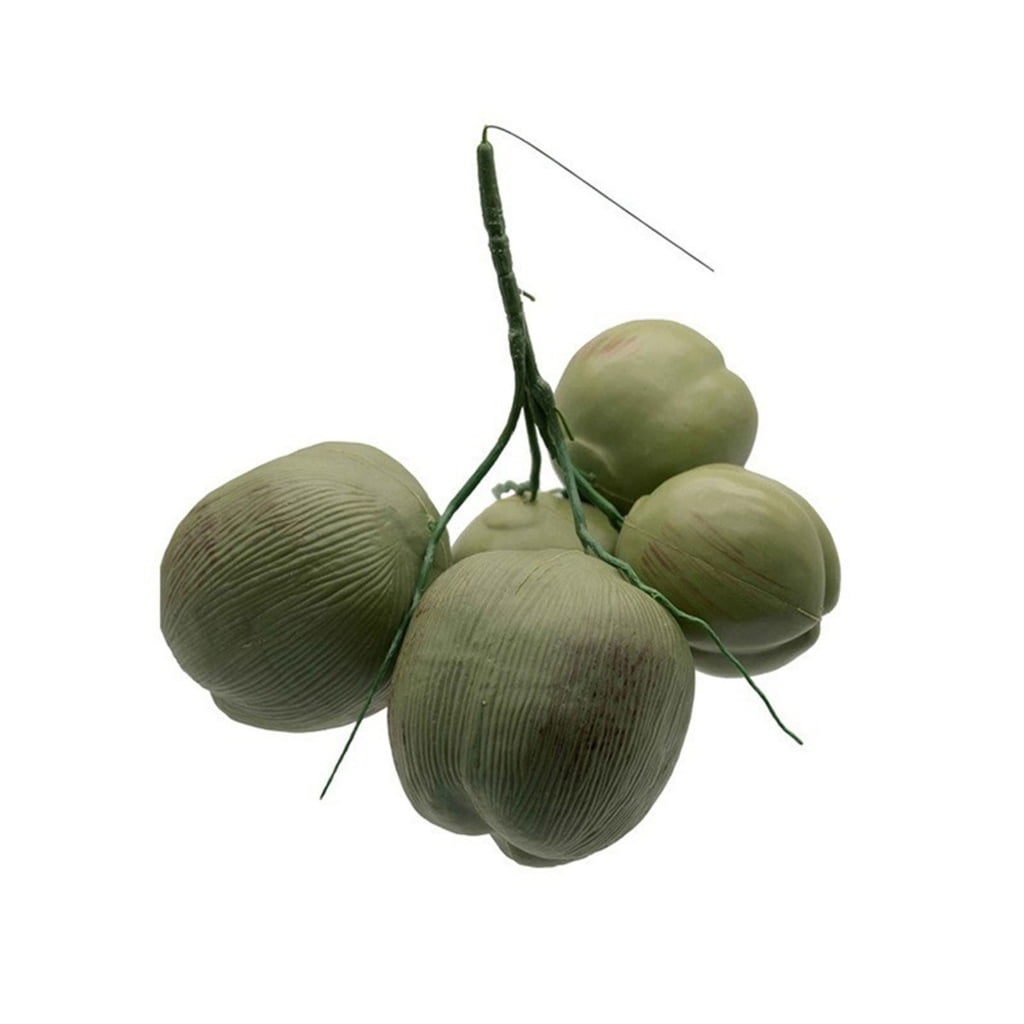 YongCo Artificial Coconut Fake Coconut Simulation Coconut Coconut for ...