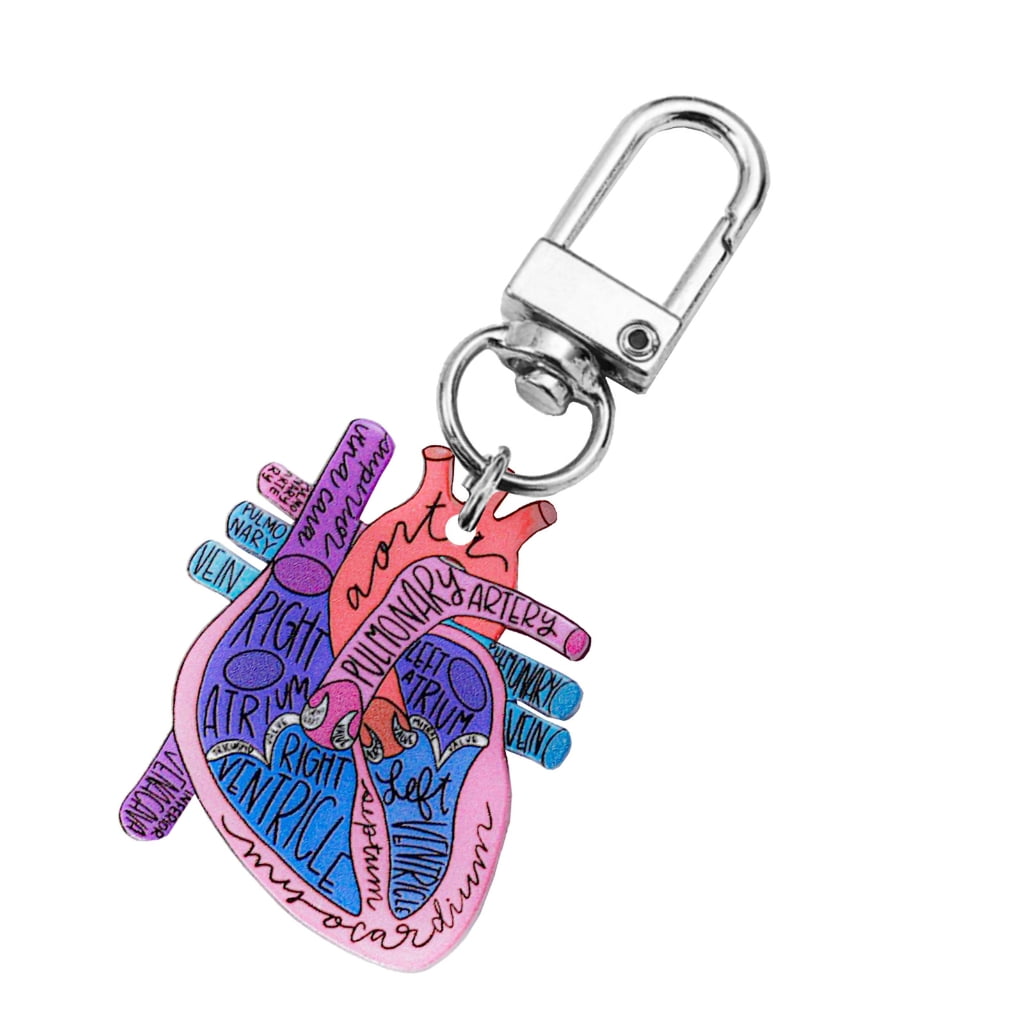 YongCo Human Heart Diagram Keychain Detailed Heart Keychain Accessory ...