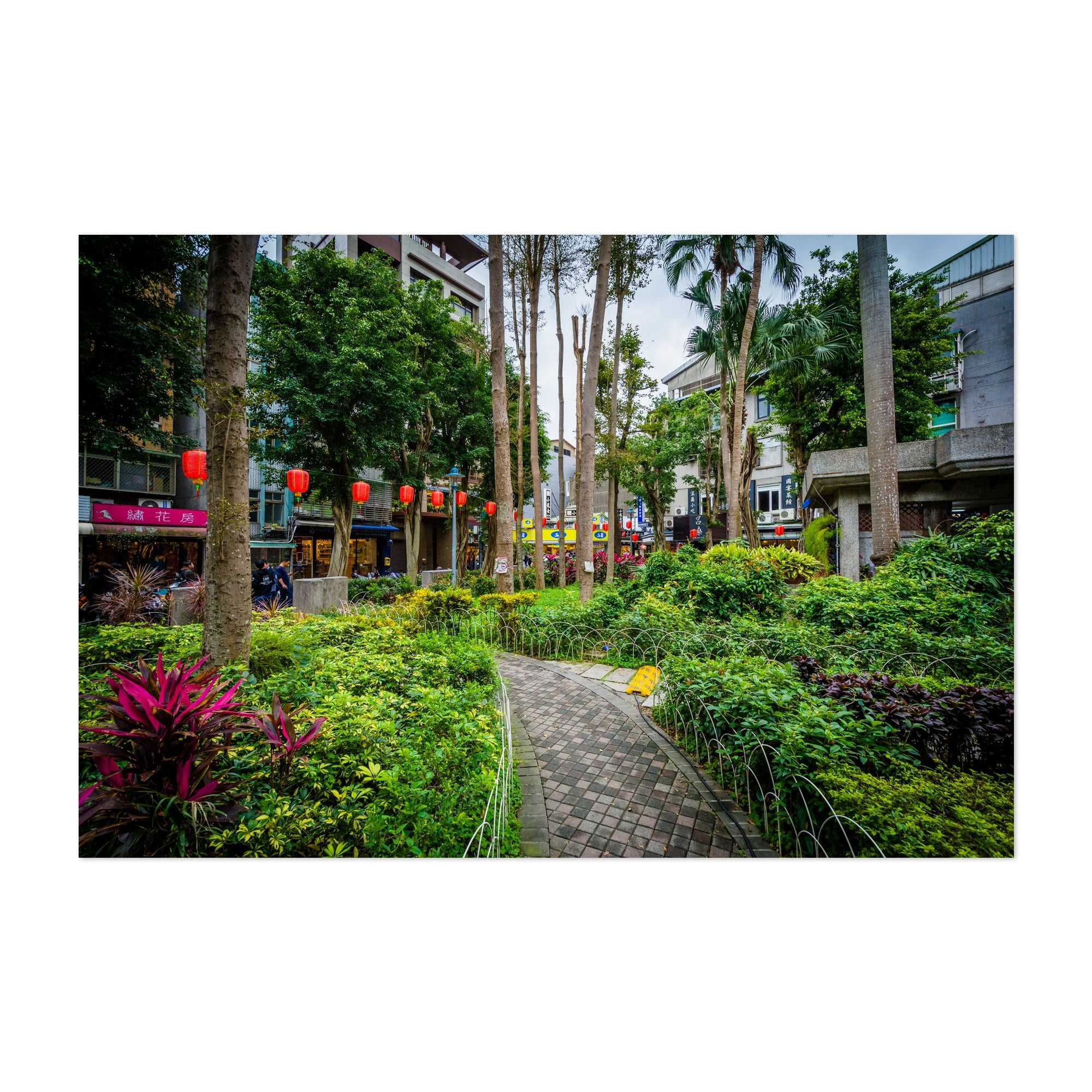 Yongkang Park - Taipei Taiwan Photography Botanical Street Photography ...