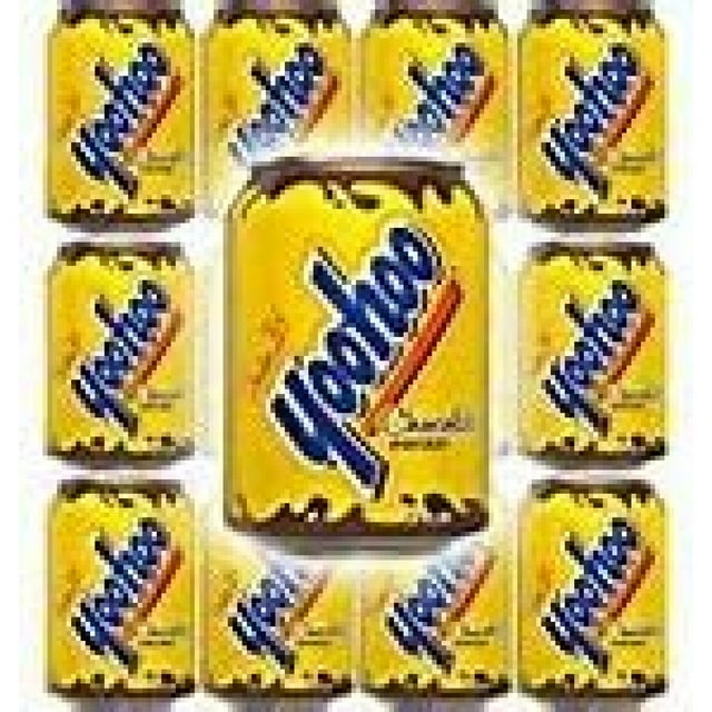 Yoo Hoo Chocolate Drink, 12 Oz Cans, 12 Pack, In LSNF Safe Ship Box ...