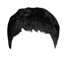 Shop Short Black Wigs for Women Beauty