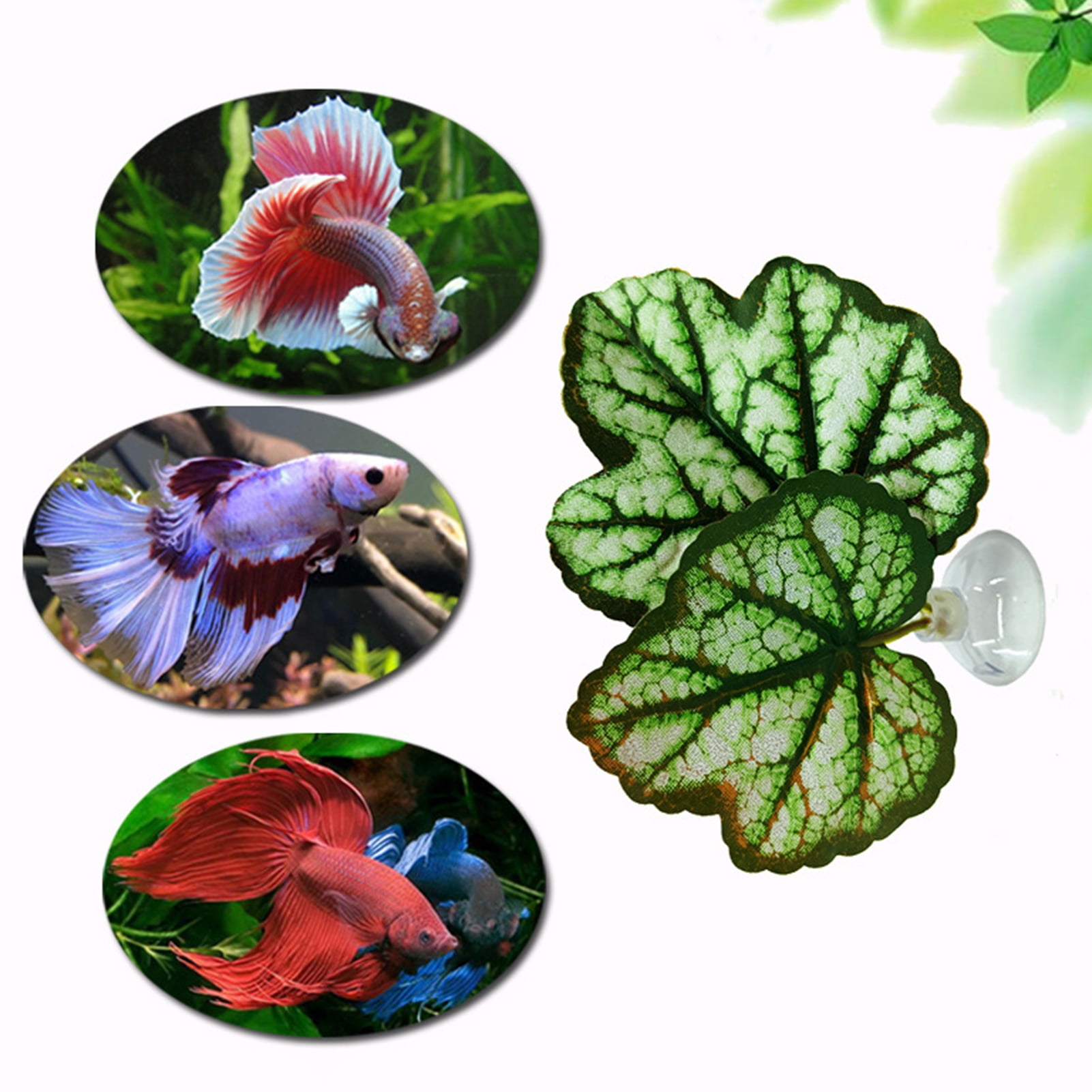 Yoone Betta Fish Leaf Pad Aquarium Decor Resting Bed Hammock Habitat ...