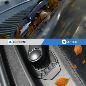 Windshield Wiper Protectors