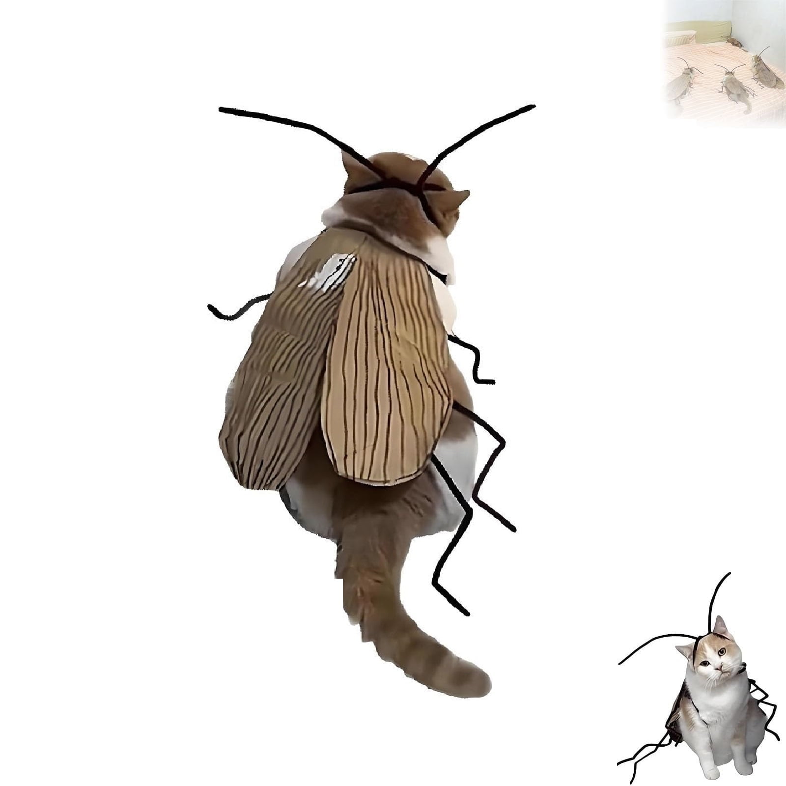 Yooshoverk Cat Cockroach Costume Kit Durable Craft Material for Pet ...