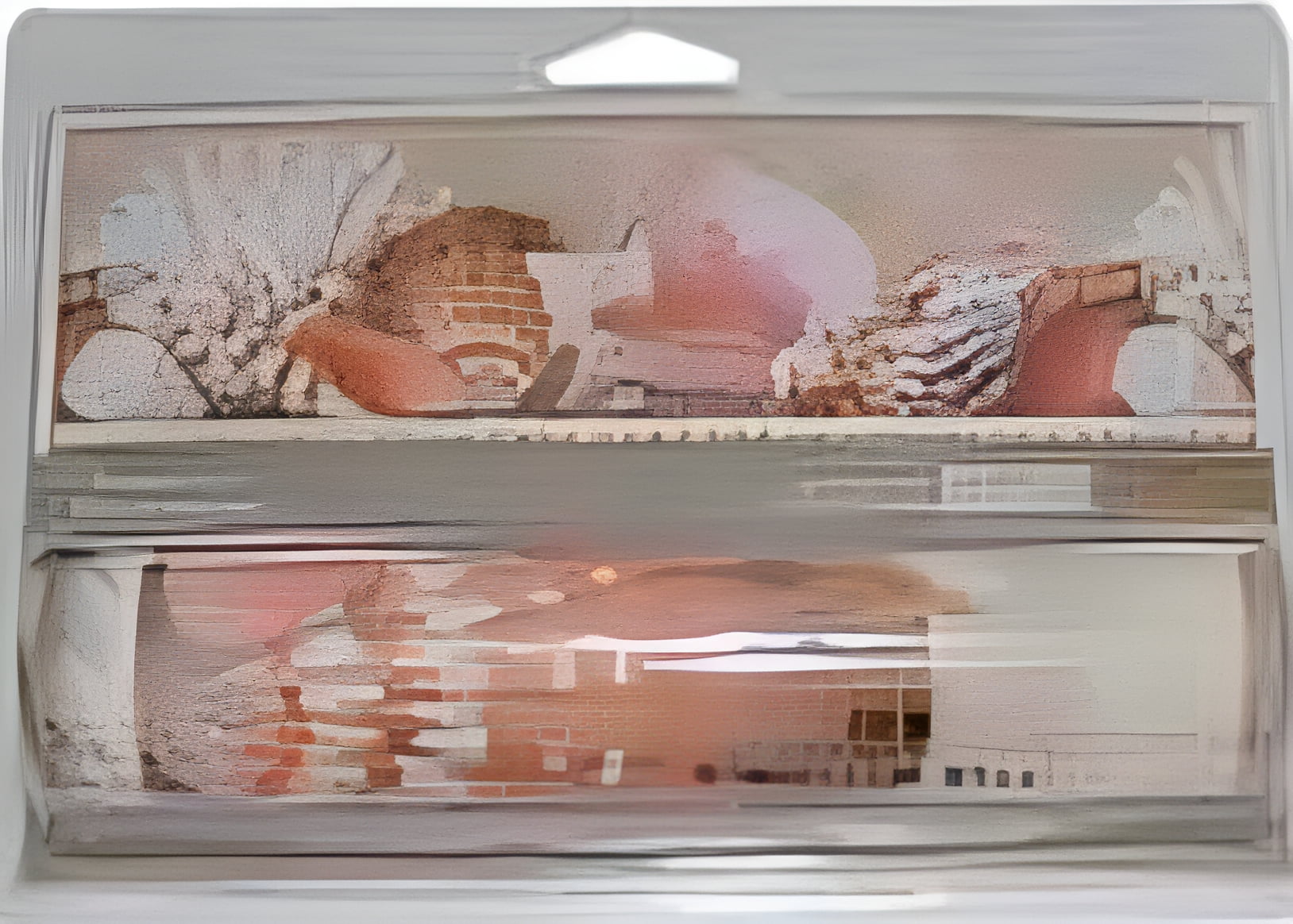 York Wallcoverings Coastal Nautical Beach Sea Shell Ocean Wallpaper ...