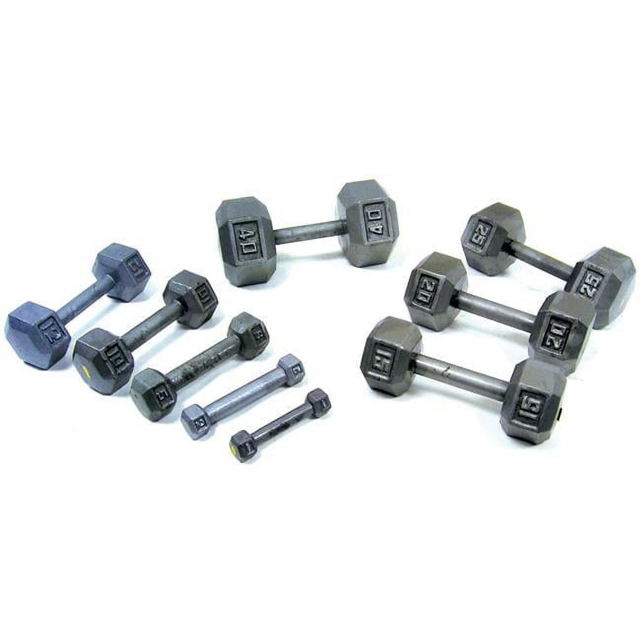 YorkBarbell 3471 40lbs Cast Iron Hex Dumbbell - Walmart.com