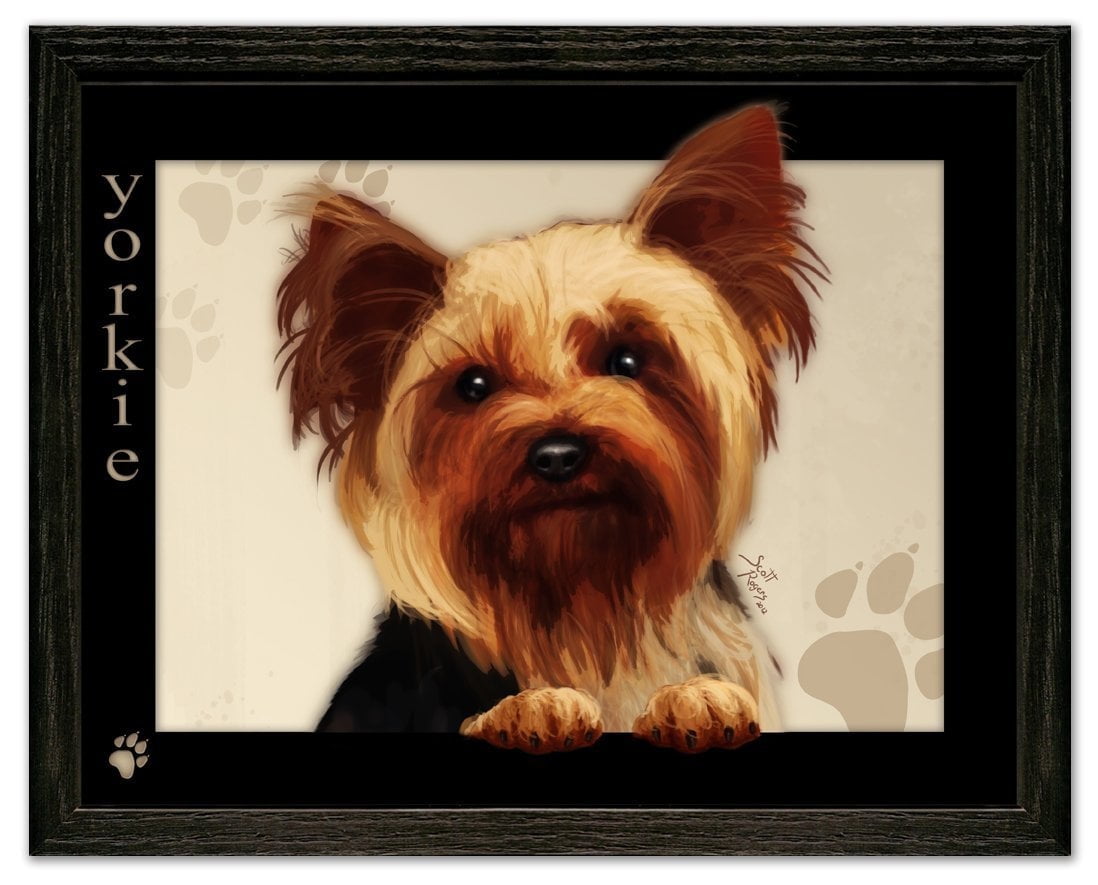 Yorkie Dog by Scott Rogers “Paws on the Picture Frame” 13x10 Framed Art ...