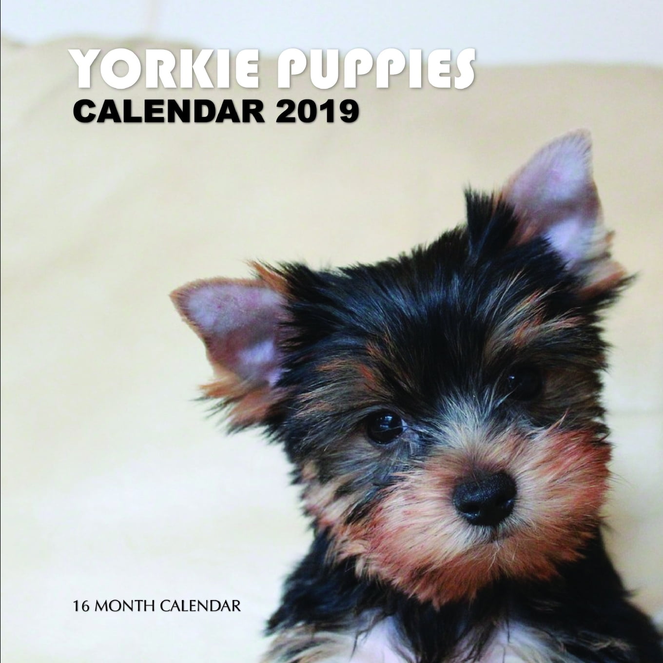 Yorkie Puppies Calendar 2019 : 16 Month Calendar (Paperback) - Walmart.com
