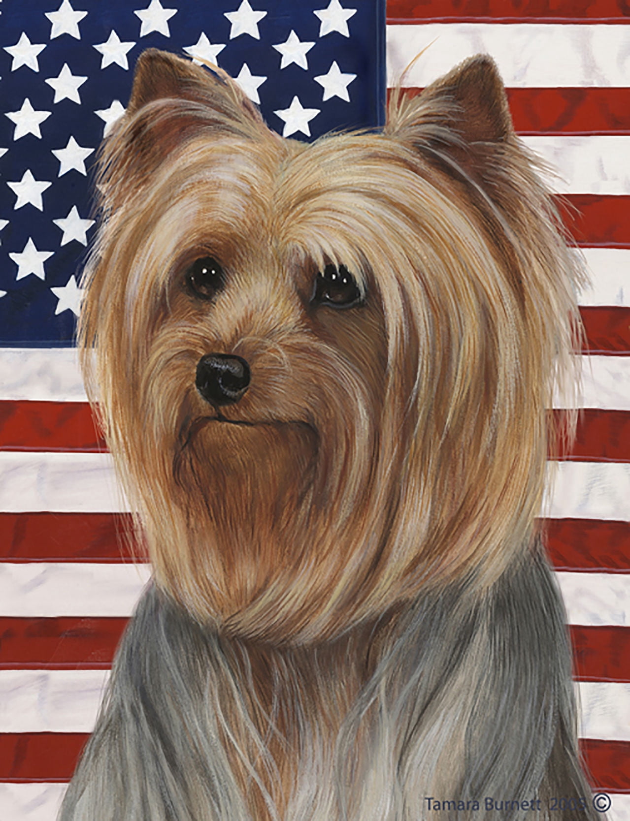 Yorkie Show Cut - Best of Breed Patriotic II Garden Flags - Walmart.com